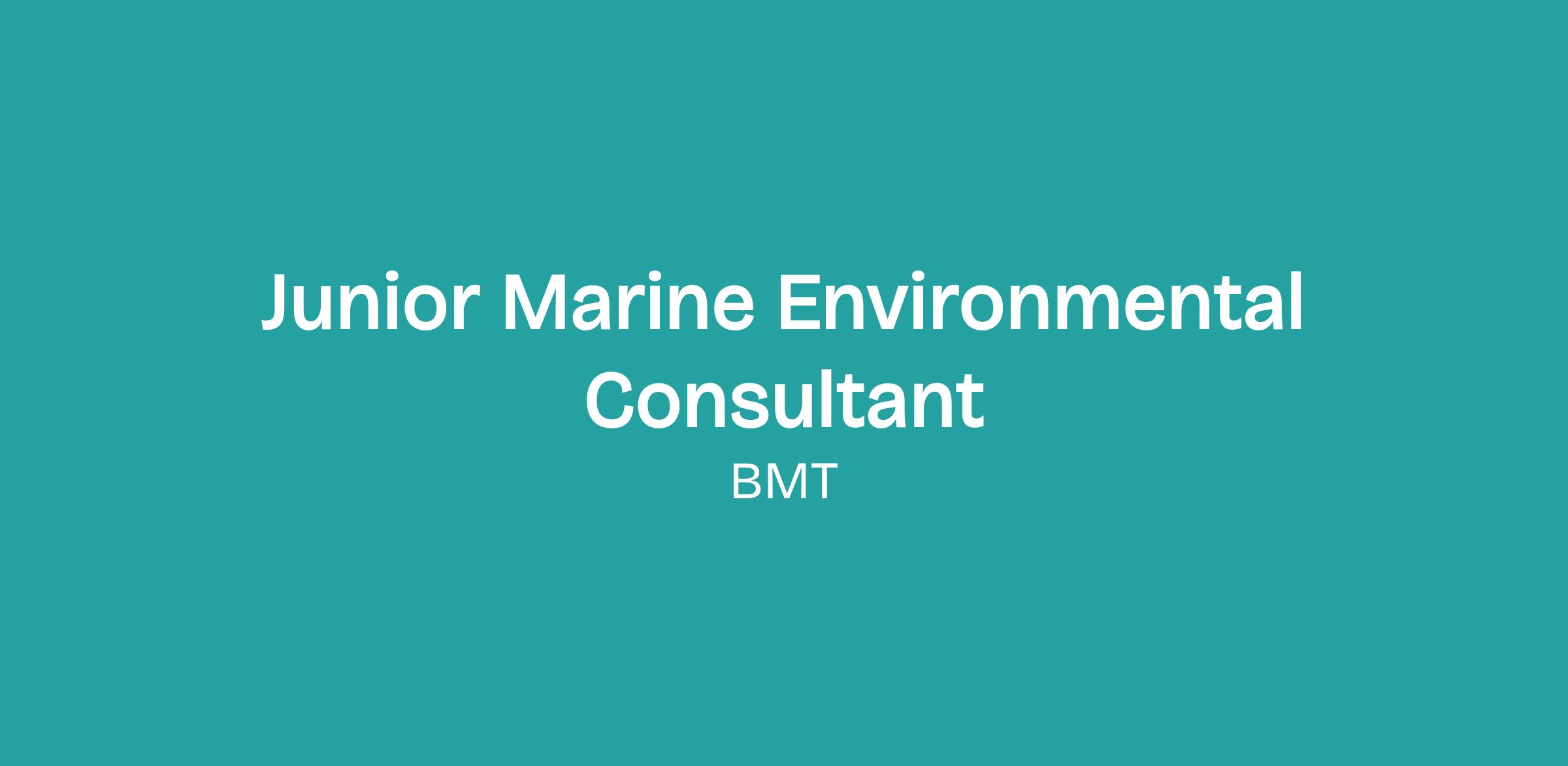 Junior Marine Environmental Consultant at BMT | Blue-jobs